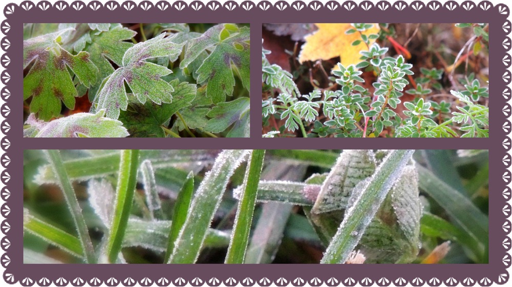 frozen collage – Gardens Eye View
